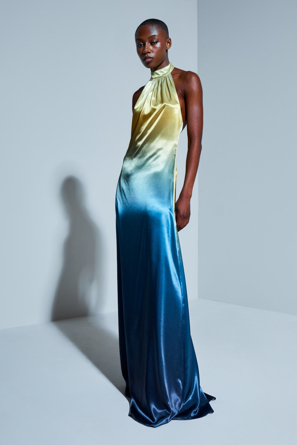 Jess GRAYdient Dress